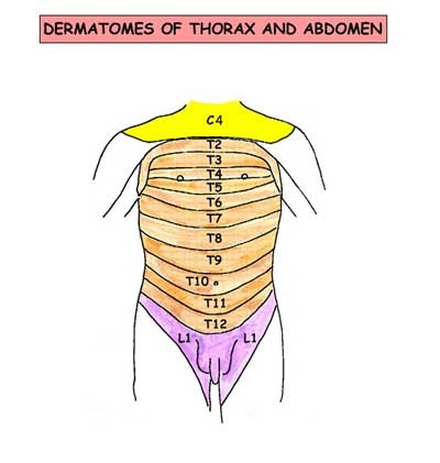 Medicine Decoded: Surgery-Abdomen introduction